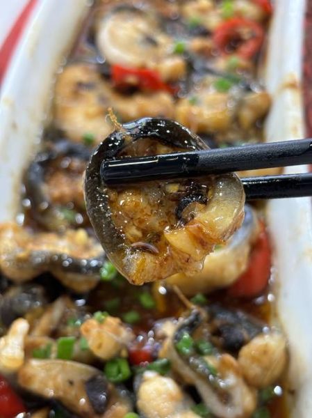 蒸鳗鱼怎么做才鲜嫩_蒸鳗鱼需要多长时间-第1张图片-山城妙识