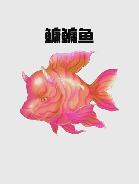 鳙怎么读音_鳙鱼是什么鱼-第1张图片-山城妙识 鳙怎么读音_鳙鱼是什么鱼-第1张图片-山城妙识