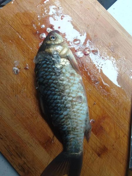 怎样熬鲫鱼汤更有营养_鲫鱼汤怎么熬才白-第1张图片-山城妙识