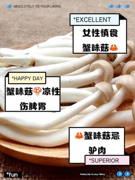 海鲜菇什么人不能吃_海鲜菇过敏症状有哪些-第3张图片-山城妙识