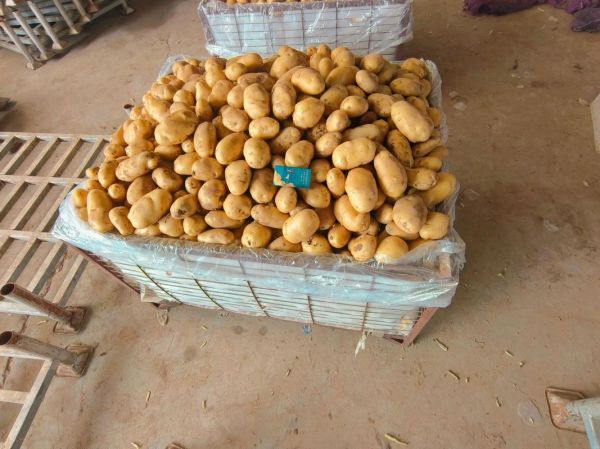 土豆批发价格哪里便宜_土豆批发进货渠道有哪些-第2张图片-山城妙识