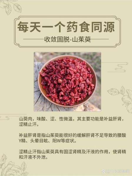 山茱萸的功效与作用_山茱萸怎么吃效果最好-第1张图片-山城妙识