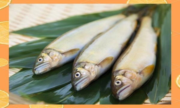 日本的香鱼是什么鱼_香鱼为什么叫香鱼-第3张图片-山城妙识