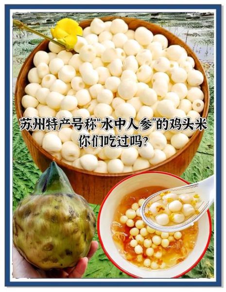 新鲜的鸡头米怎么吃效果最好_鸡头米最佳食用方法-第3张图片-山城妙识