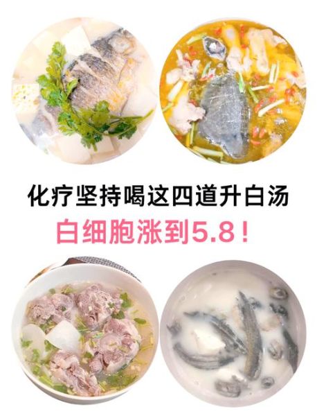 化疗后白细胞低吃什么补得快_吃什么食物升白最快-第2张图片-山城妙识