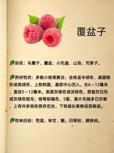 覆盆子图片大全高清图片_如何挑选优质品种-第1张图片-山城妙识