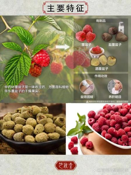 覆盆子图片大全高清图片_如何挑选优质品种-第3张图片-山城妙识