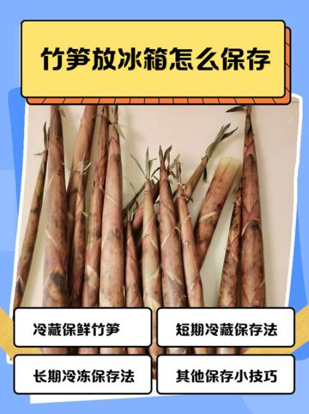 新鲜冬笋怎么保存_冬笋能放冰箱多久-第1张图片-山城妙识 新鲜冬笋怎么保存_冬笋能放冰箱多久-第1张图片-山城妙识