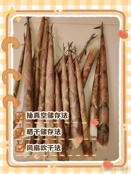新鲜冬笋怎么保存_冬笋能放冰箱多久-第3张图片-山城妙识 新鲜冬笋怎么保存_冬笋能放冰箱多久-第3张图片-山城妙识