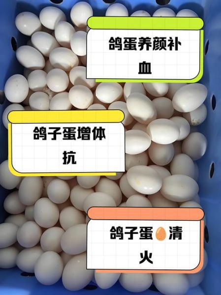 女人吃鸽子蛋有什么好处_鸽子蛋对女人有哪些功效-第1张图片-山城妙识 女人吃鸽子蛋有什么好处_鸽子蛋对女人有哪些功效-第1张图片-山城妙识