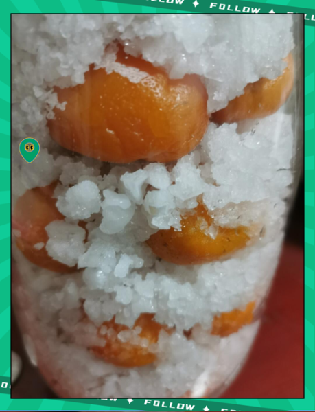 咸金桔怎么腌制_咸金桔腌制多久可以吃-第1张图片-山城妙识