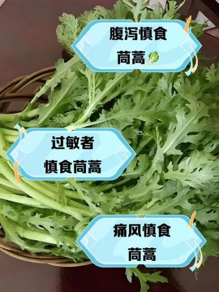 茼蒿菜吃多了有什么坏处_茼蒿菜哪些人不能吃-第1张图片-山城妙识