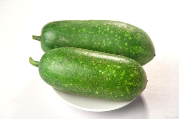 冬瓜图片可爱_冬瓜为什么看起来萌萌哒-第2张图片-山城妙识 冬瓜图片可爱_冬瓜为什么看起来萌萌哒-第2张图片-山城妙识