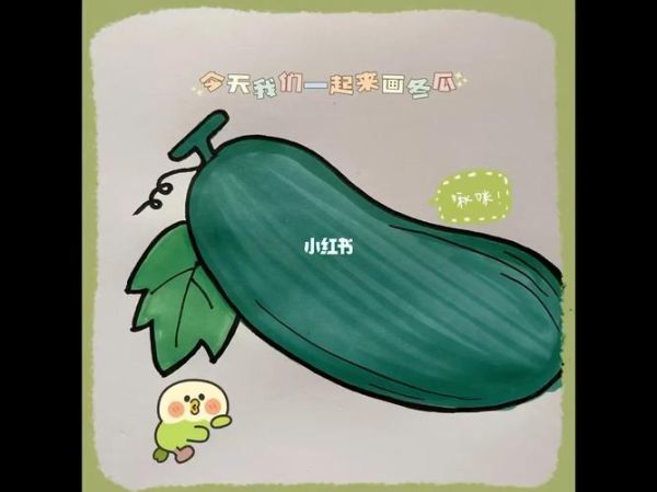 冬瓜图片可爱_冬瓜为什么看起来萌萌哒-第1张图片-山城妙识 冬瓜图片可爱_冬瓜为什么看起来萌萌哒-第1张图片-山城妙识