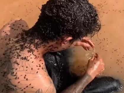 密集恐惧症图片_如何缓解不适-第3张图片-山城妙识