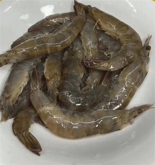 大虾图片大全_如何挑选高清无水印素材-第1张图片-山城妙识