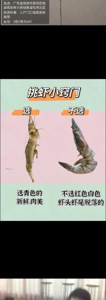 大虾图片大全_如何挑选高清无水印素材-第2张图片-山城妙识