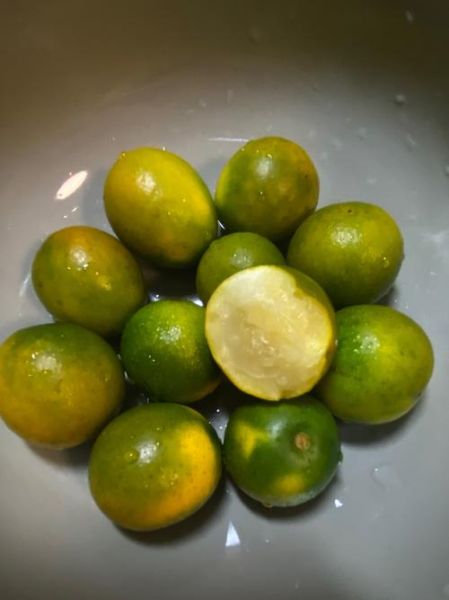 小金桔怎么吃_小金桔的吃法大全-第1张图片-山城妙识