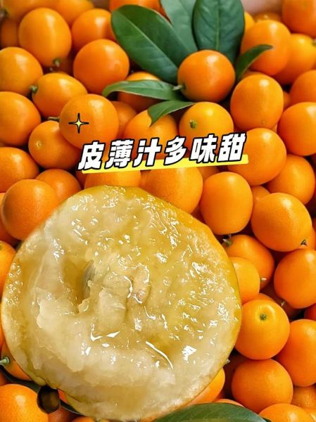 小金桔怎么吃_小金桔的吃法大全-第3张图片-山城妙识