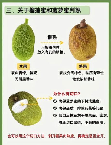 榴莲蜜和榴莲的区别_哪个更好吃-第2张图片-山城妙识