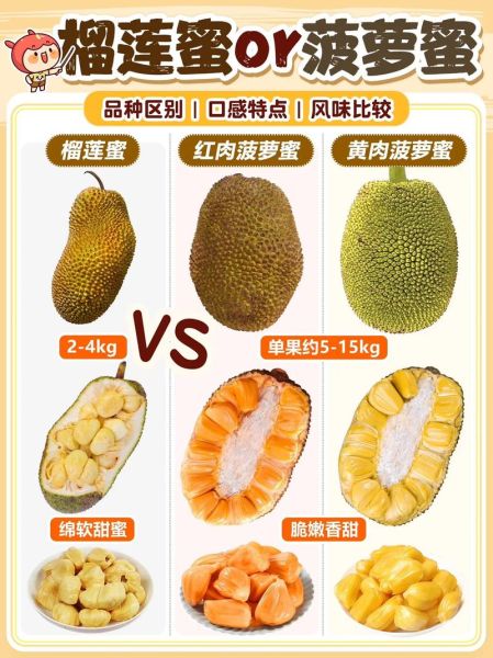 榴莲蜜和榴莲的区别_哪个更好吃-第1张图片-山城妙识