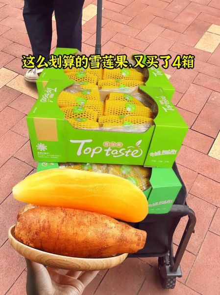 雪莲果价格多少钱一斤_雪莲果多少钱一斤2024-第1张图片-山城妙识