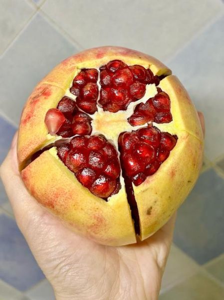 石榴视频app进入窗口下载_石榴视频安全吗-第1张图片-山城妙识