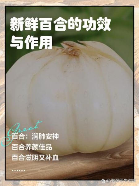 食用百合怎么吃_百合的正确吃法与禁忌-第3张图片-山城妙识 食用百合怎么吃_百合的正确吃法与禁忌-第3张图片-山城妙识