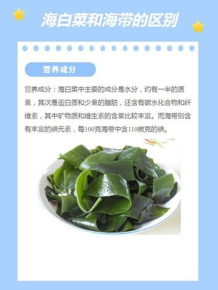 海白菜是海带吗_区别与营养对比-第1张图片-山城妙识 海白菜是海带吗_区别与营养对比-第1张图片-山城妙识