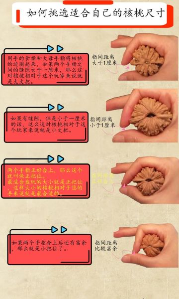 文玩核桃品种图片_如何挑选-第1张图片-山城妙识 文玩核桃品种图片_如何挑选-第1张图片-山城妙识