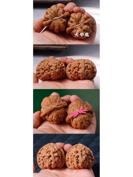 文玩核桃品种图片_如何挑选-第2张图片-山城妙识 文玩核桃品种图片_如何挑选-第2张图片-山城妙识