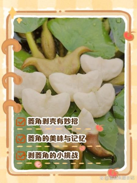 菱角怎么剥壳最快_菱角剥壳小技巧-第3张图片-山城妙识 菱角怎么剥壳最快_菱角剥壳小技巧-第3张图片-山城妙识