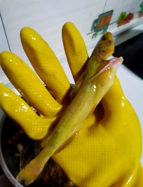 红烧嘎牙鱼怎么做_嘎牙鱼去腥技巧-第3张图片-山城妙识