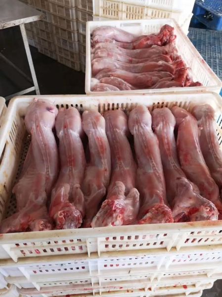 兔肉价格多少钱一斤_兔肉为什么贵-第2张图片-山城妙识