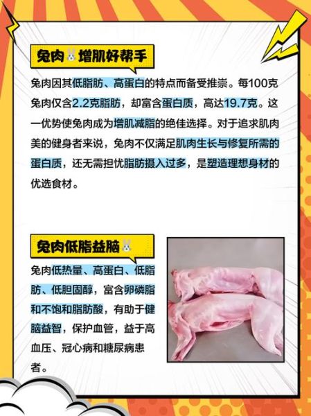 兔肉价格多少钱一斤_兔肉为什么贵-第3张图片-山城妙识