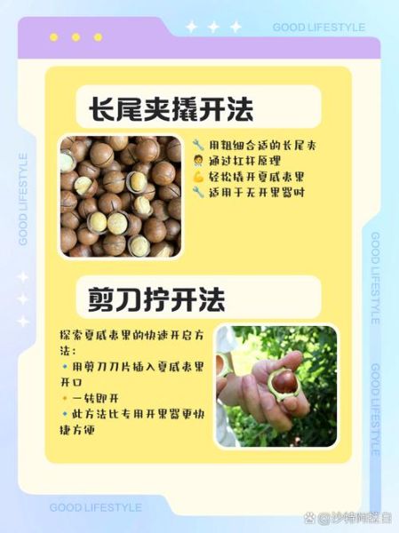 夏威夷果怎么加工_夏威夷果加工工艺流程-第1张图片-山城妙识