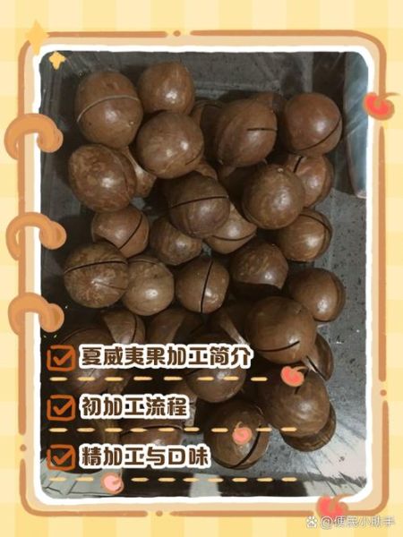 夏威夷果怎么加工_夏威夷果加工工艺流程-第3张图片-山城妙识