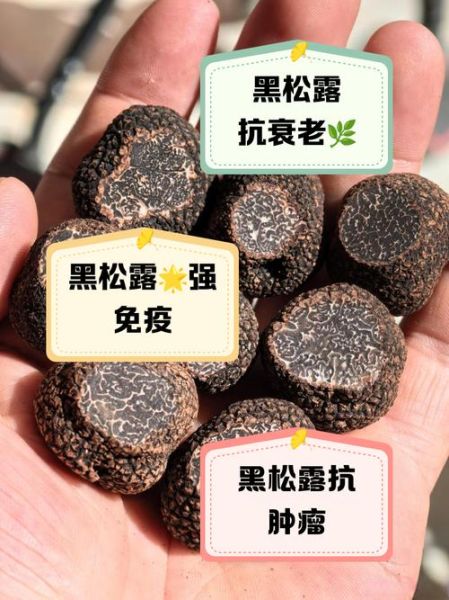 黑松露是什么东西_黑松露怎么吃最好-第1张图片-山城妙识