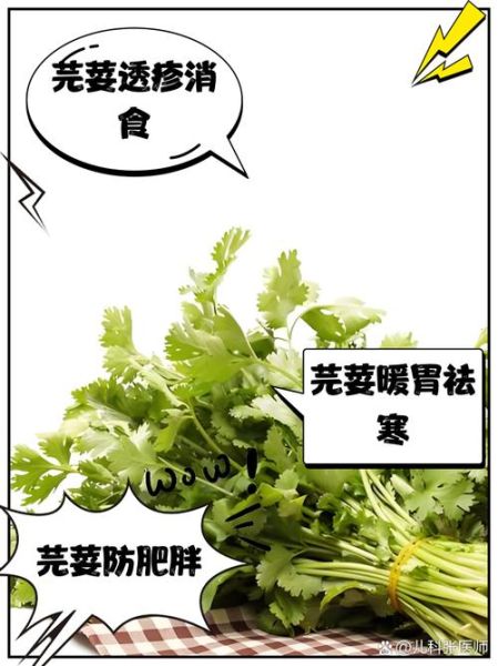 芫荽的功效与作用_芫荽的营养价值有哪些-第3张图片-山城妙识