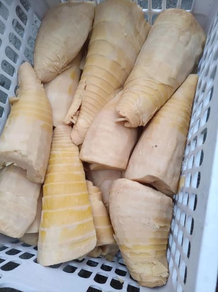 毛竹笋怎么处理才能吃_毛竹笋去涩味最快方法-第2张图片-山城妙识