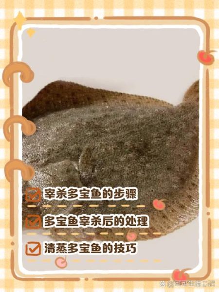 多宝鱼怎么处理内脏_多宝鱼内脏清理步骤-第3张图片-山城妙识