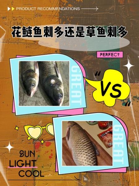 鲢鱼刺多吗_小孩能吃吗-第1张图片-山城妙识