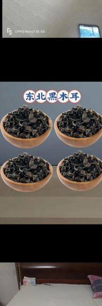 木耳八大品种有哪些_黑木耳和毛木耳区别-第3张图片-山城妙识 木耳八大品种有哪些_黑木耳和毛木耳区别-第3张图片-山城妙识