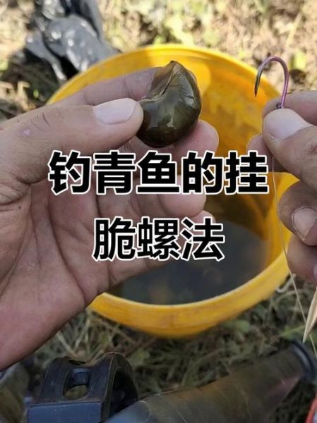 螺蛳青鱼怎么钓_螺蛳青鱼吃什么-第1张图片-山城妙识