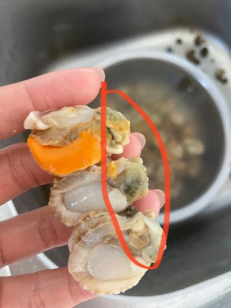 扇贝肉怎么清理_扇贝肉清洗方法-第3张图片-山城妙识