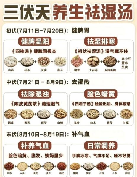 清热祛湿茶配方大全_适合长期喝的有哪些-第1张图片-山城妙识 清热祛湿茶配方大全_适合长期喝的有哪些-第1张图片-山城妙识