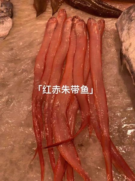 红色的海鱼有哪些品种_怎么分辨真假红鲷-第2张图片-山城妙识