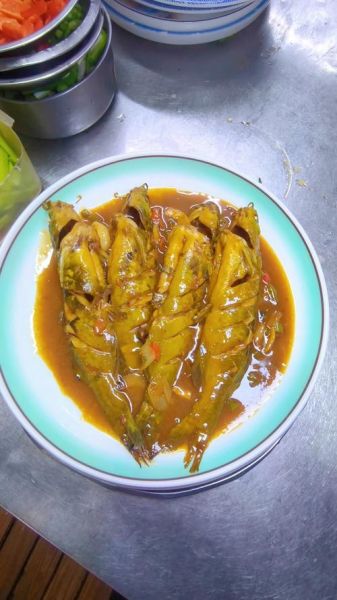 炖嘎鱼的家常做法_嘎鱼怎么炖不腥-第2张图片-山城妙识