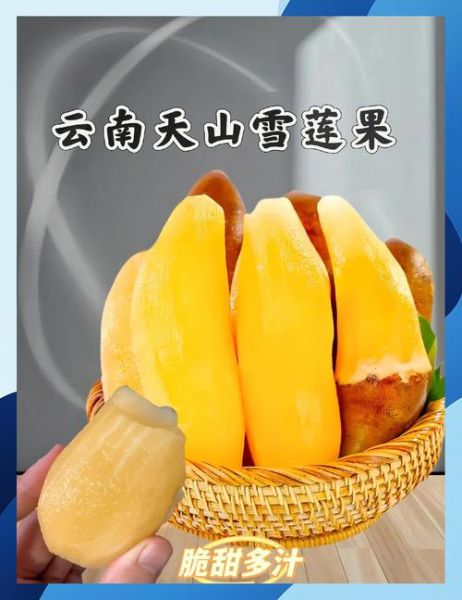 雪莲果怎么吃最好吃_雪莲果的吃法有几种-第3张图片-山城妙识