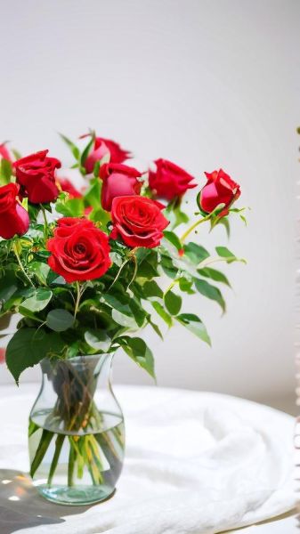 玫瑰花图片大全大图唯美_如何挑选高清壁纸-第3张图片-山城妙识 玫瑰花图片大全大图唯美_如何挑选高清壁纸-第3张图片-山城妙识